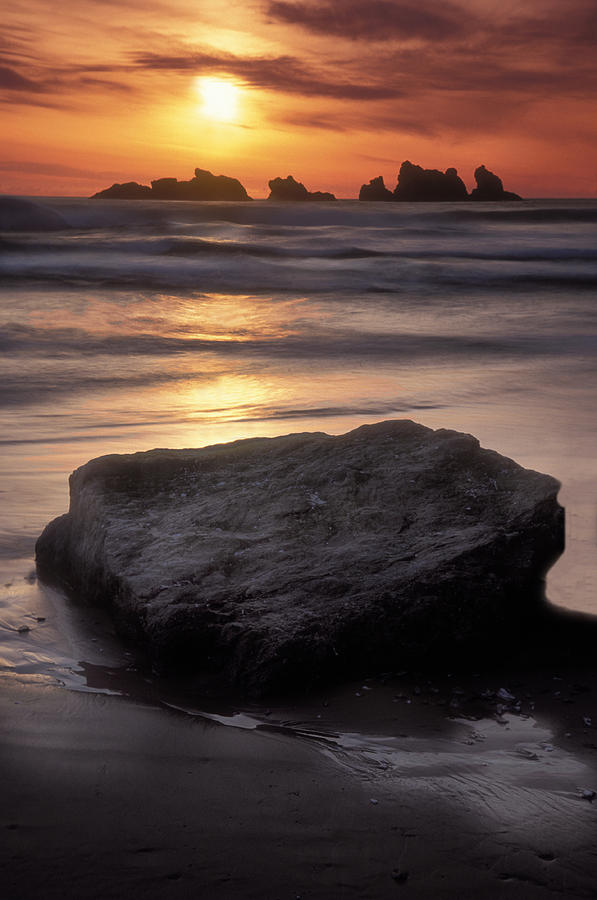 Oregon Sunset Photograph by Dave Mills - Fine Art America