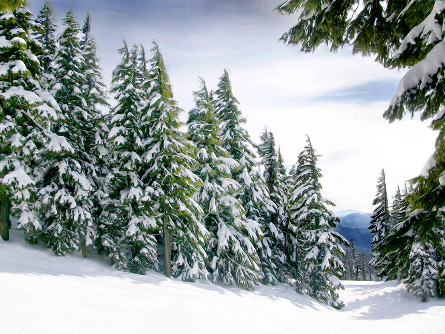 Oregon Winter Digital Art by Daniel Lindquist | Fine Art America