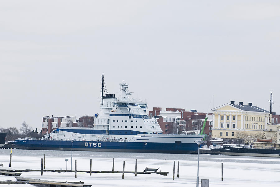 Otso Photograph by Igor Sinitsyn - Fine Art America