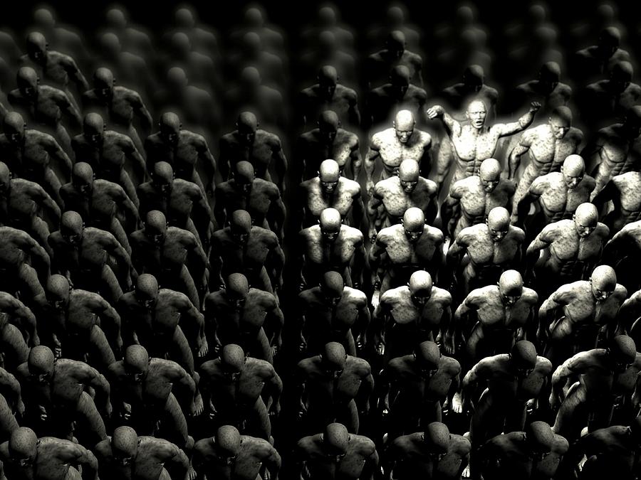Outrage? Photograph by Peter Cochran - Fine Art America