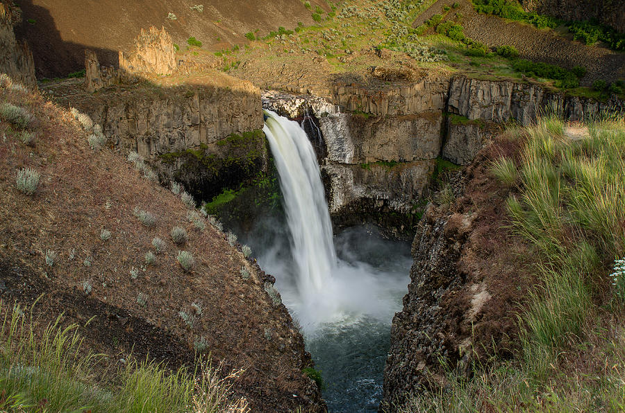 Palouse Spring Photograph by Greg Nyquist - Pixels