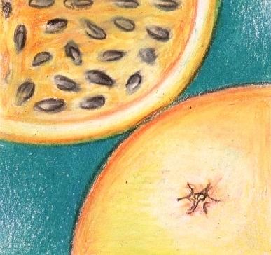 Parcha Drawing by Judith Correa - Fine Art America