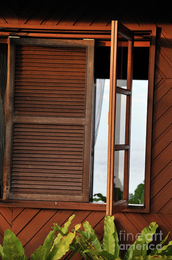 Partially open wooden window Photograph by Sami Sarkis - Fine Art America