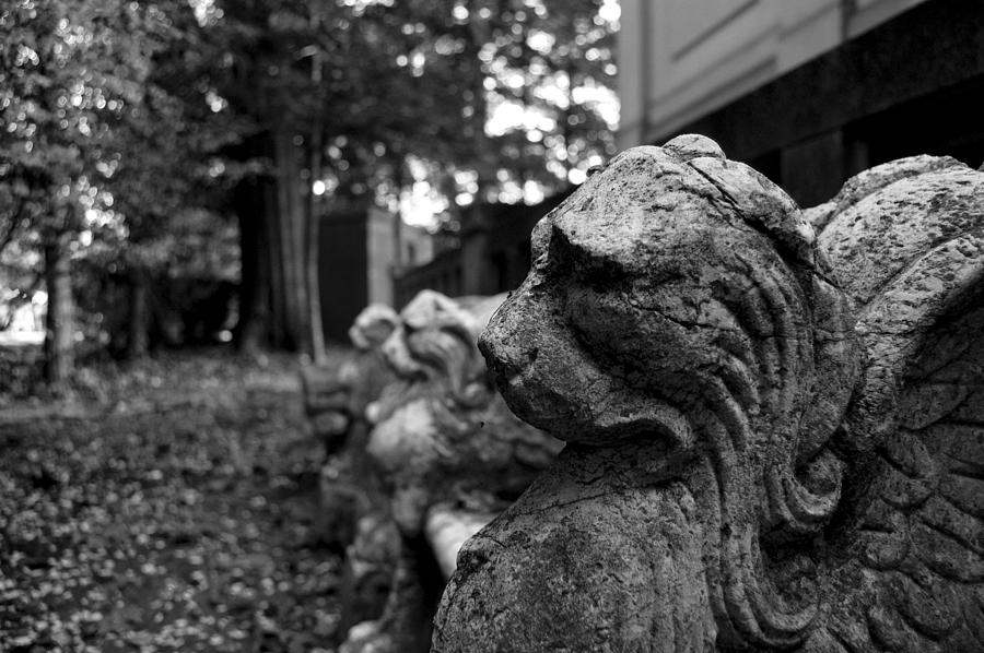 Passing Time Photograph by Ian MacQueen - Fine Art America