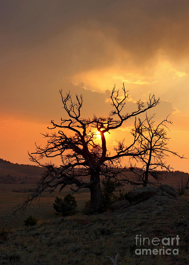 Past present and fire Photograph by Wesley Hahn - Pixels