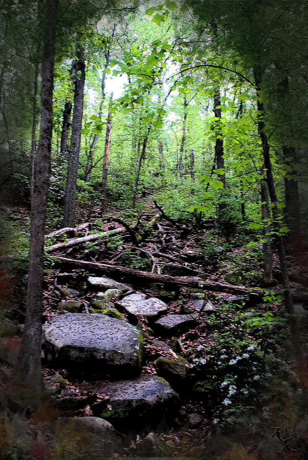 Path In Stone Photograph By Devin Rader Fine Art America