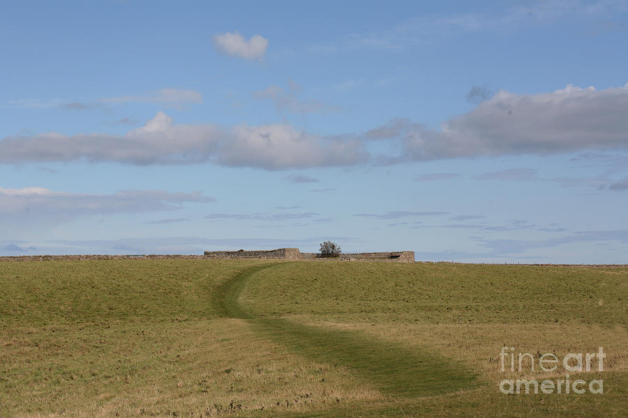 Path Photograph by Kate Adams - Fine Art America