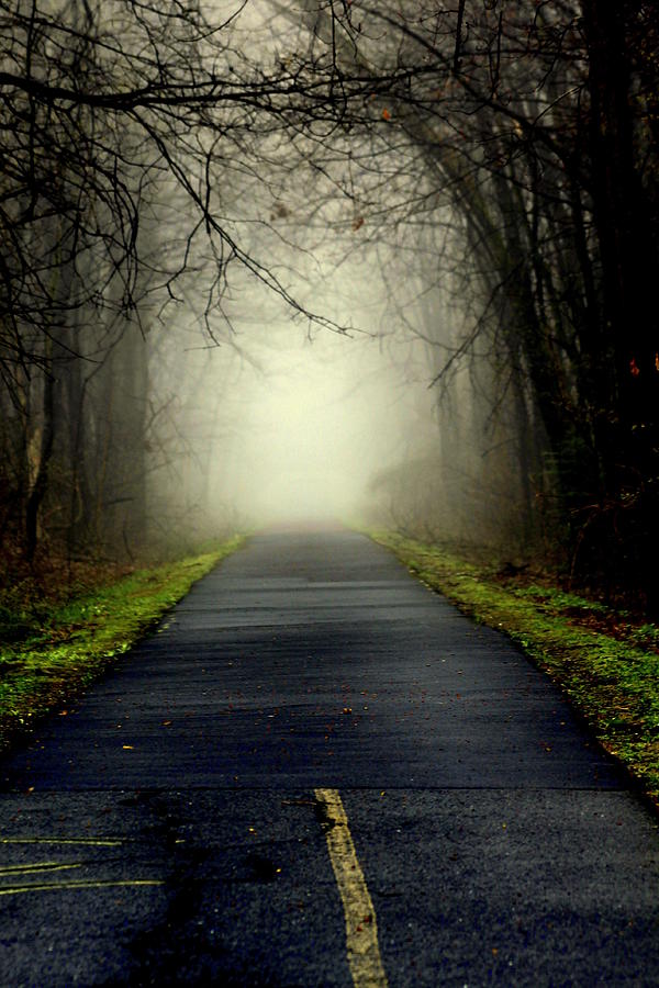 Path Undivided Photograph by Edward Hogan - Pixels