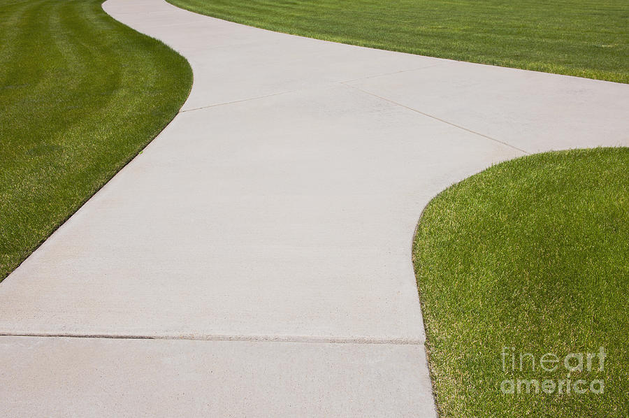 Pathway Through Grass Photograph by Dave & Les Jacobs - Fine Art America