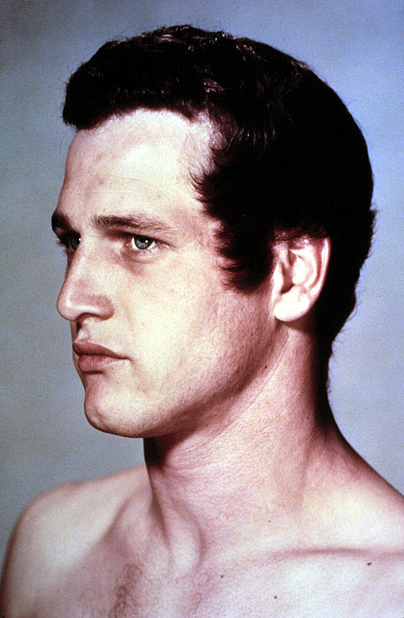 Paul Newman Photograph by Everett - Fine Art America