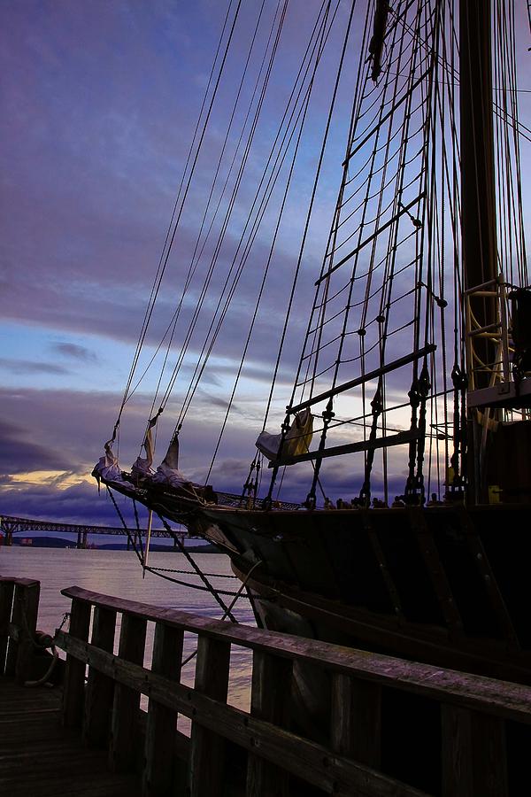 Peacemaker Photograph by Michael Ray - Fine Art America