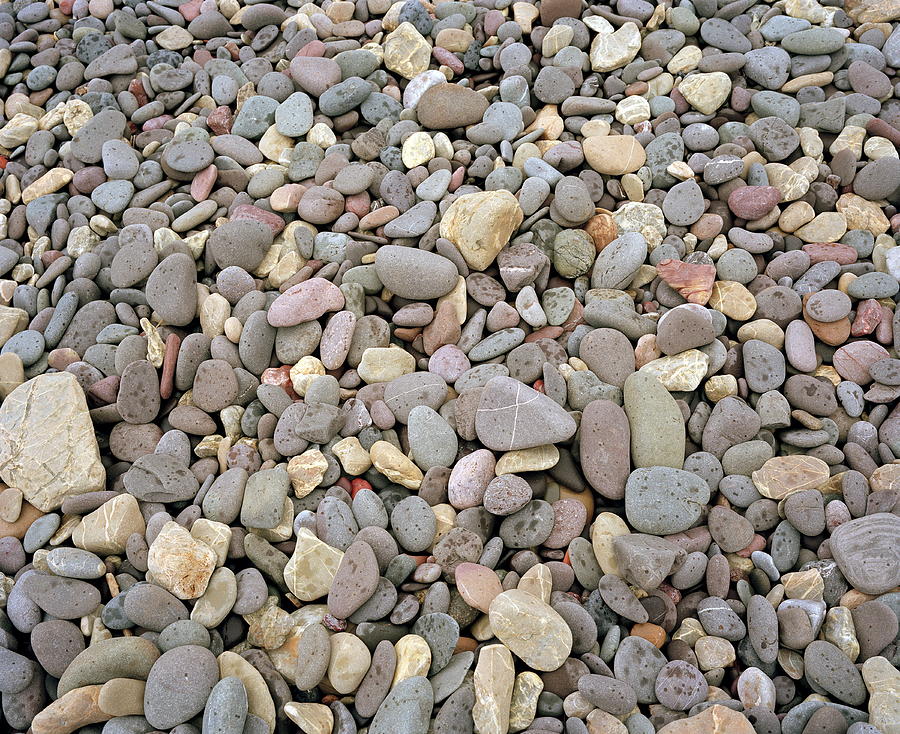 Pebbles by Michael Marten / Science Photo Library