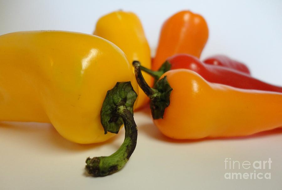 Pepper Study I Photograph by Maria Bonnier-Perez - Pixels