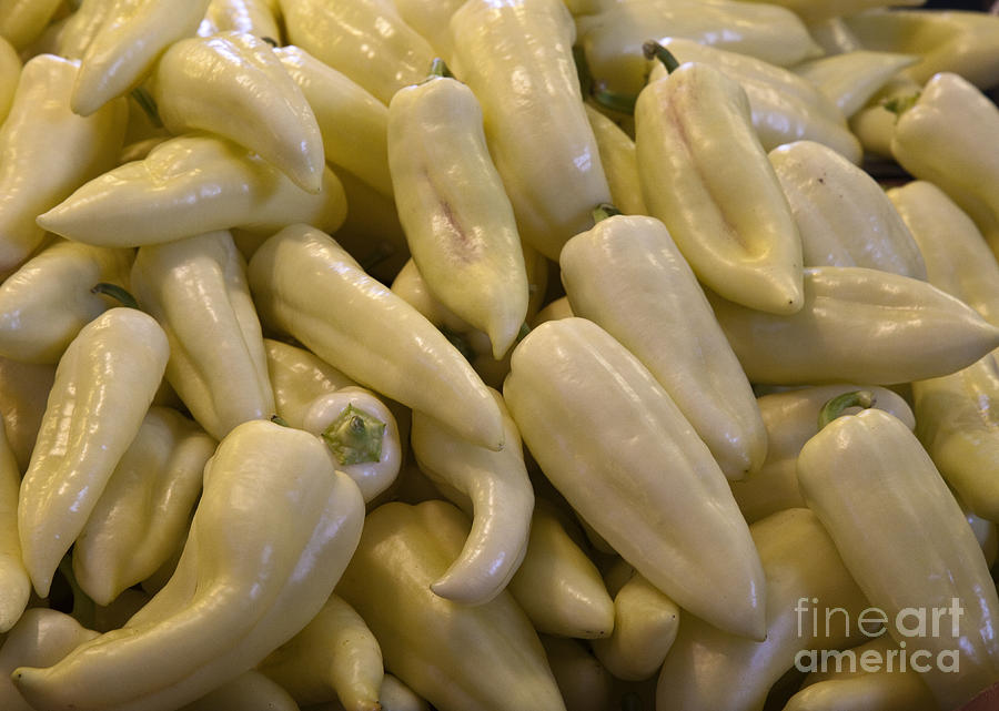 Peppers Photograph by David Buffington - Fine Art America