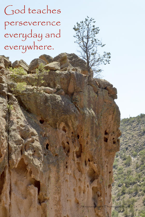 Perseverence Photograph by Bruce Baker - Fine Art America