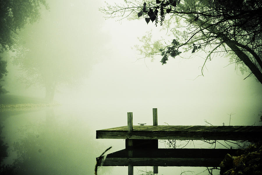 Persistent Fog 1 Photograph by Steve Gracy - Pixels