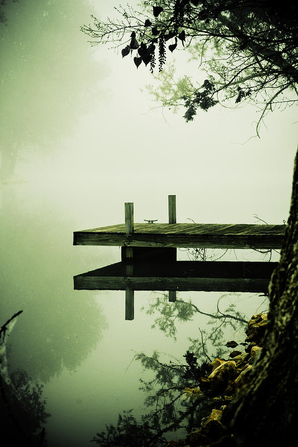 Persistent Fog 2 Photograph by Steve Gracy - Fine Art America