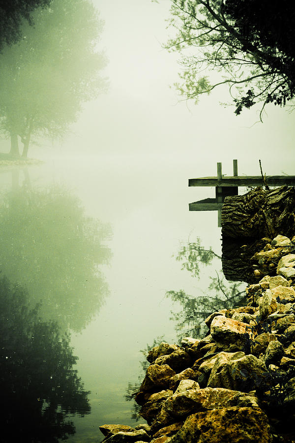 Persistent Fog 4 Photograph by Steve Gracy - Fine Art America