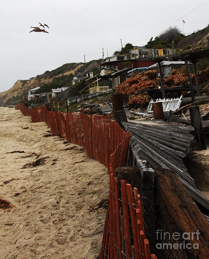 Picketed Beach Photograph by Tom Griffithe - Fine Art America