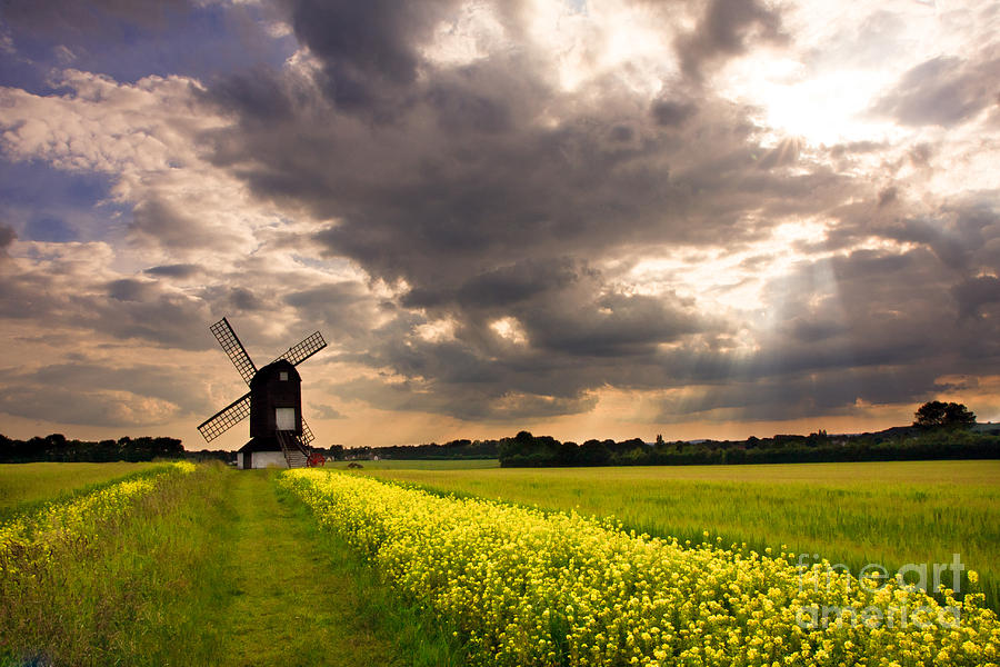 Pitstone Windmill Photograph by Radoslav Toth