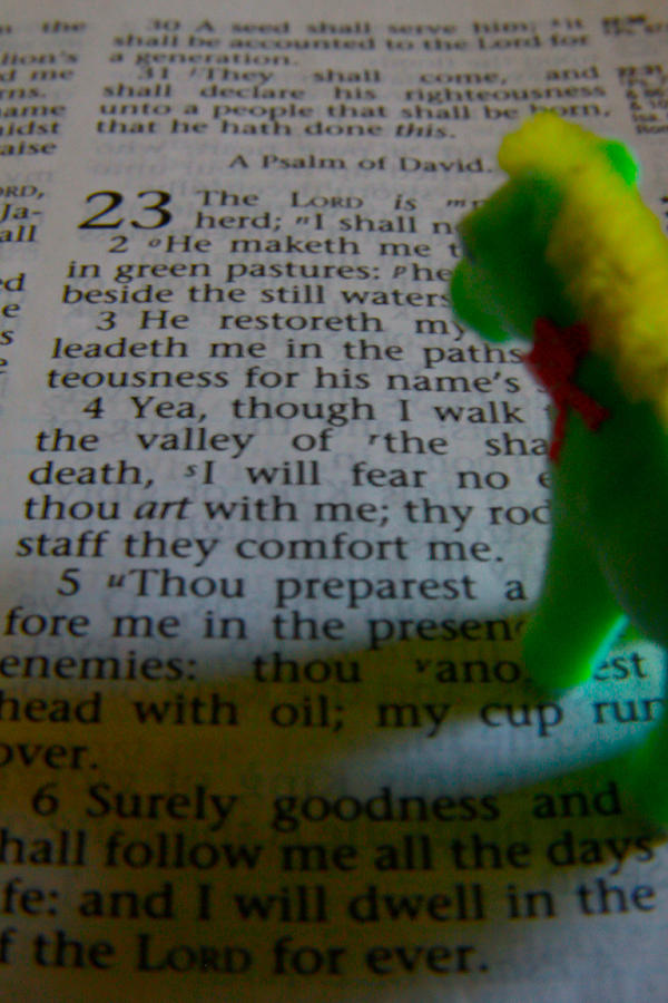 Pony Prayers Photograph by Snow White - Pixels