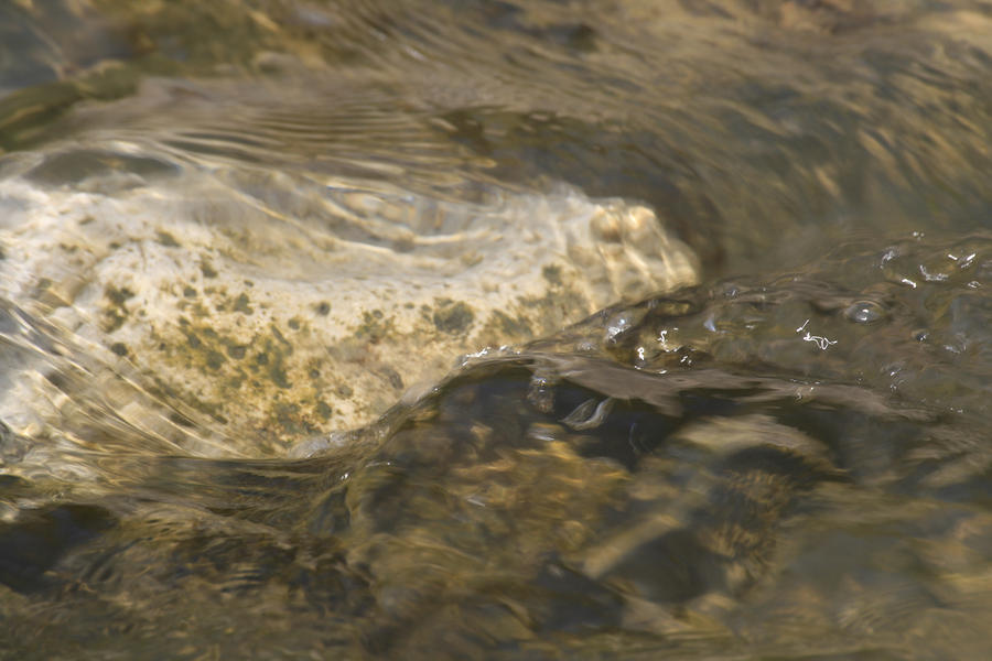 Progression Photograph by Alan Rutherford - Fine Art America