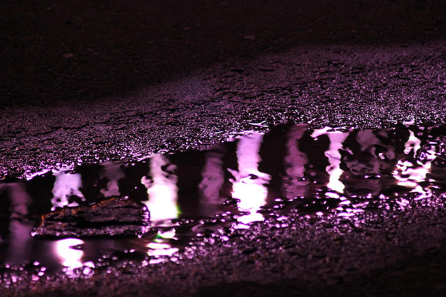 Puddle in Purple Reflection Photograph by Carolina Liechtenstein | Fine ...
