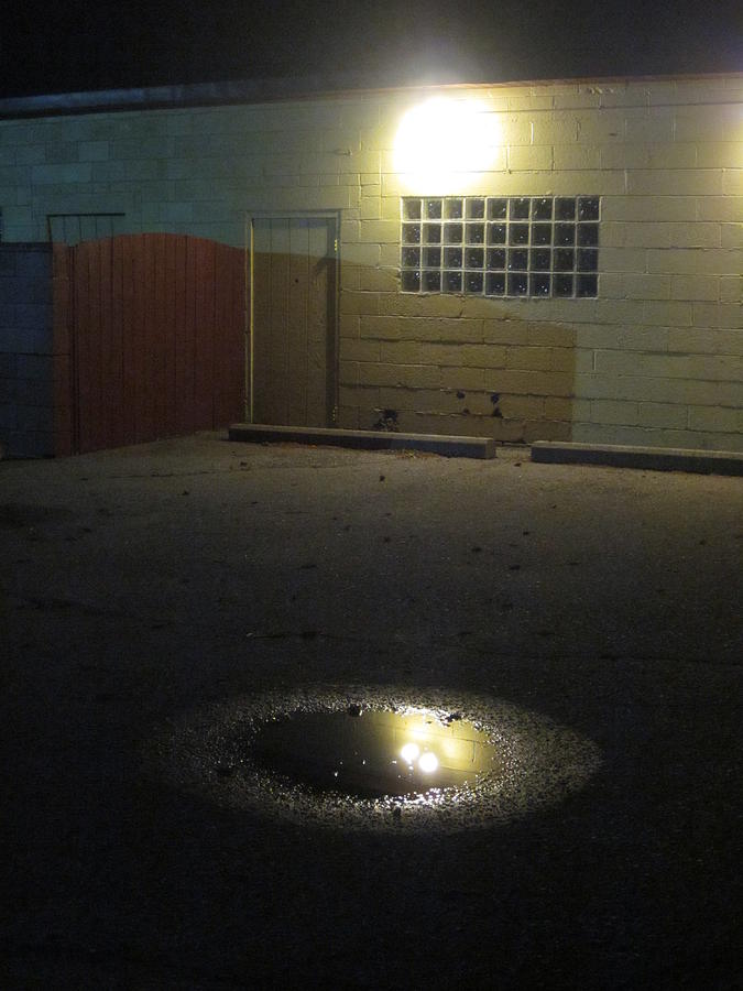 Puddle Reflections Photograph by Guy Ricketts - Fine Art America