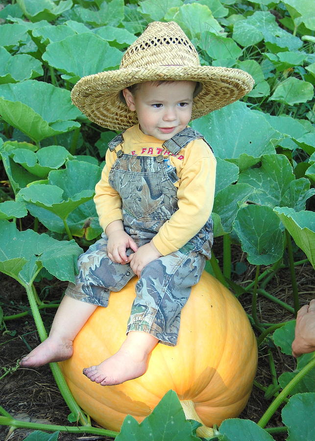 Pumpkin Boy Photograph by Sam Perry - Fine Art America