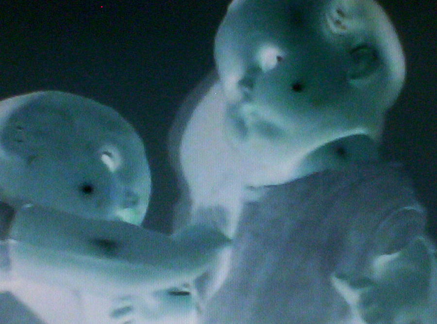 Push Painting by Lee Thompson - Fine Art America