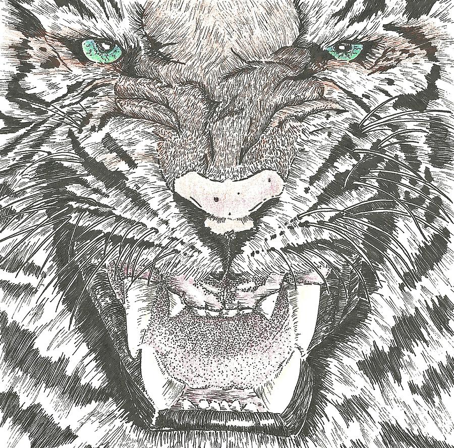 Rage Drawing by Thomas Ferguson - Fine Art America