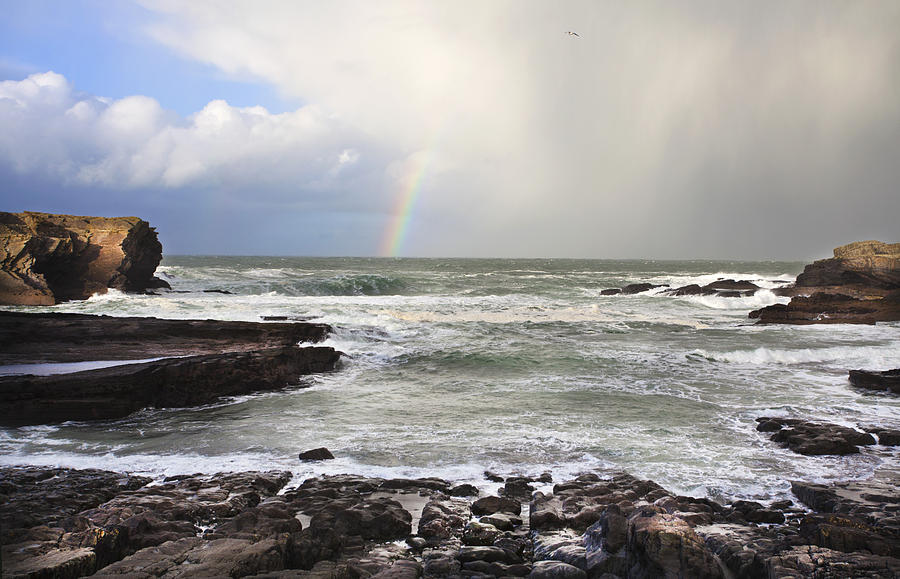 Rainbow Photograph by Ann O Connell - Fine Art America