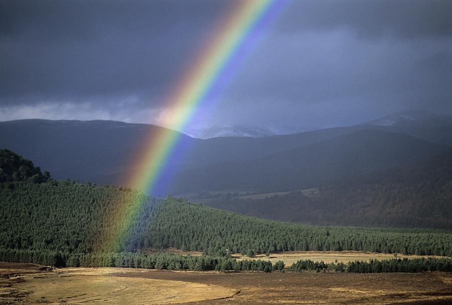Rainbow by Science Photo Library