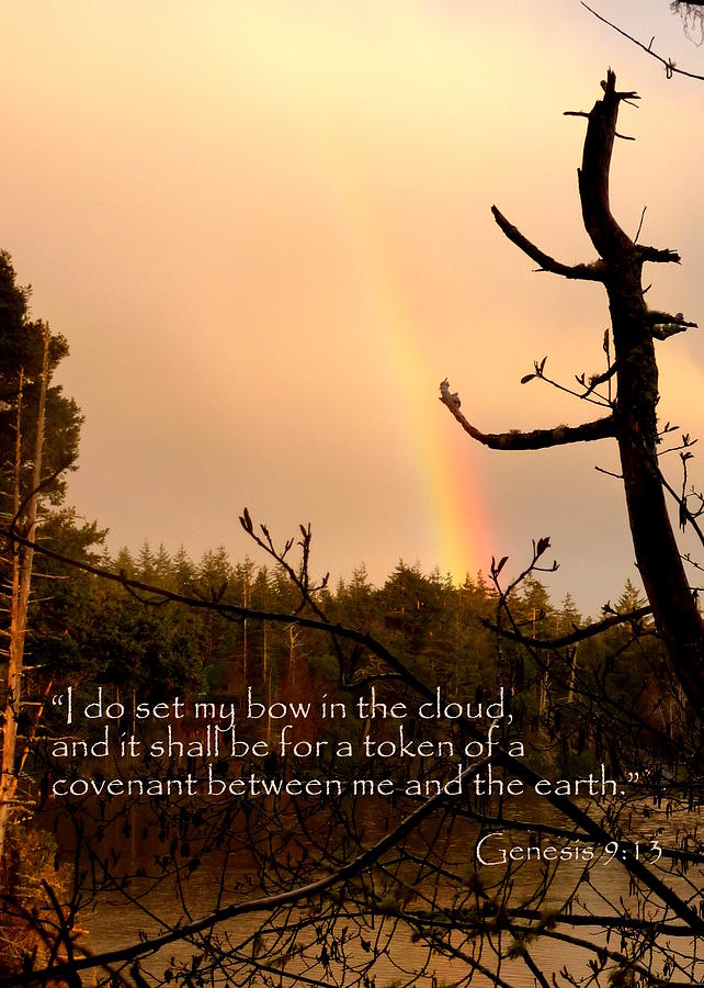 Rainbow Scripture Genesis 9 Photograph by Cindy Wright