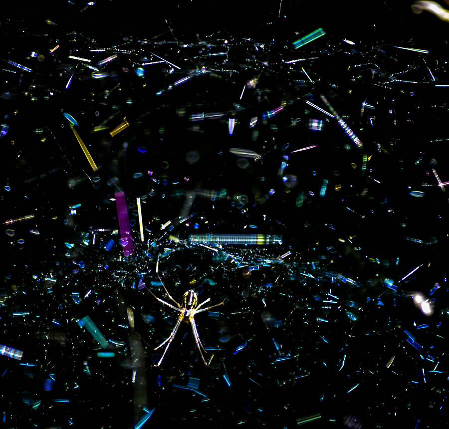 Rainbow web Photograph by Brian Stevens | Pixels