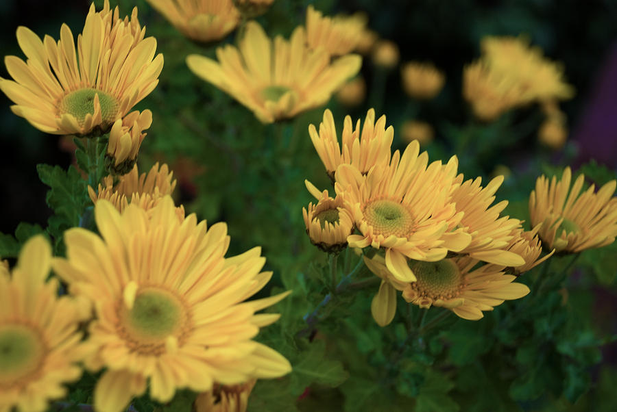 Reaching Out Photograph By Devin Rader Fine Art America