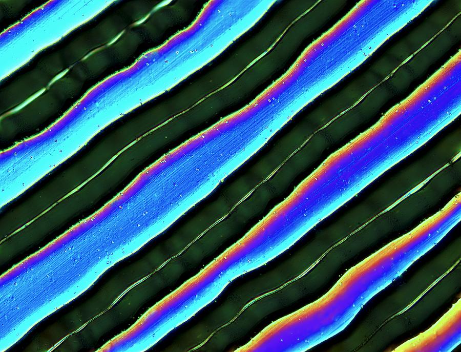 Record Surface, Light Micrograph Photograph by Pasieka - Fine Art America