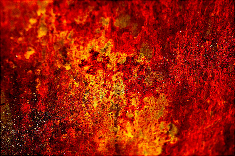 Red 666 Photograph by Mirza Ajanovic | Fine Art America