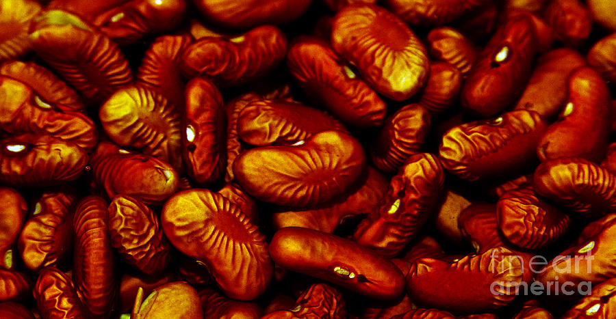 Red Beans Photograph by Lenroy Johnson - Fine Art America