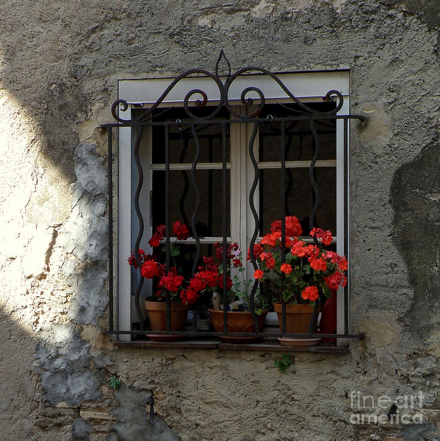 Red Geraniums in Window Photograph by Lainie Wrightson - Fine Art America