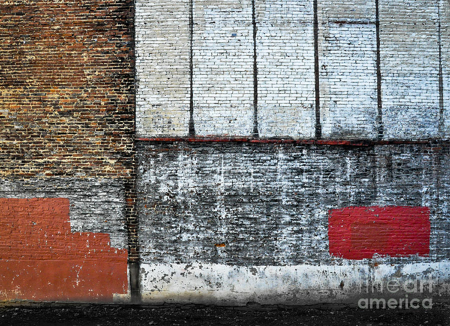 Red Patch Photograph by Susana Weber - Fine Art America