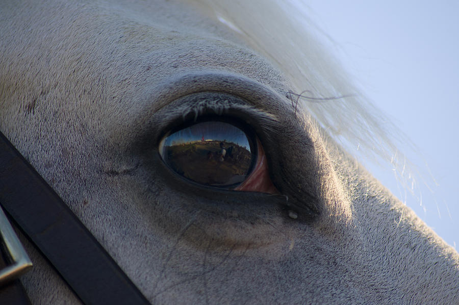 Reflecting Photograph by Keith Sutton - Fine Art America