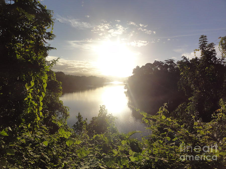 Reflecting Sun Photograph by David Peters - Fine Art America