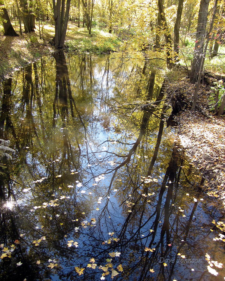 Fall Reflections Photograph by Dave Johnson - Fine Art America