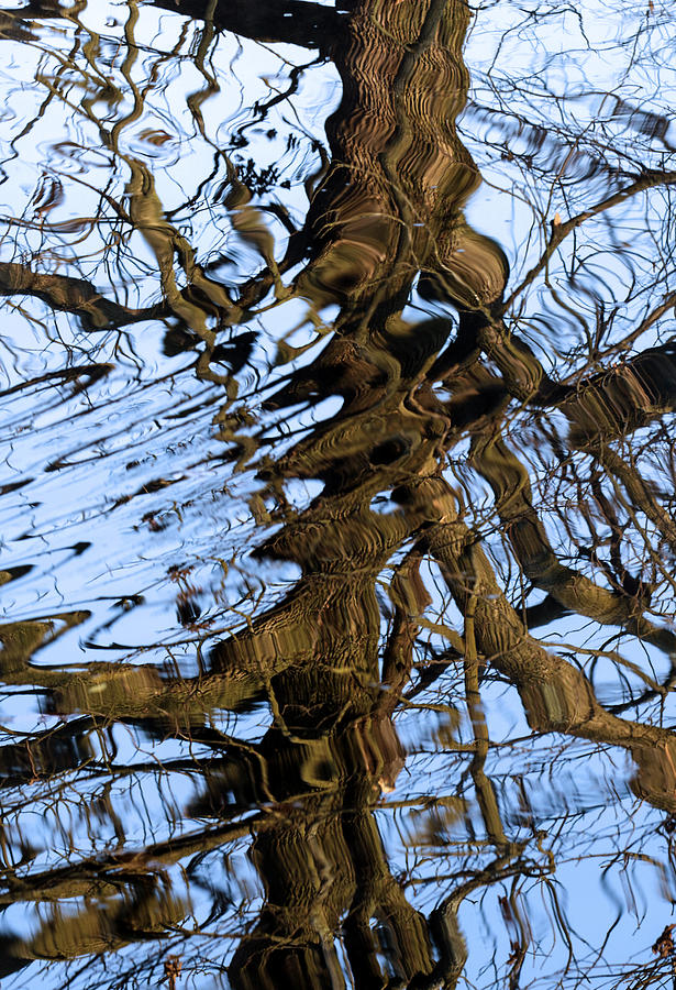 Reflection Photograph by David Lester - Fine Art America