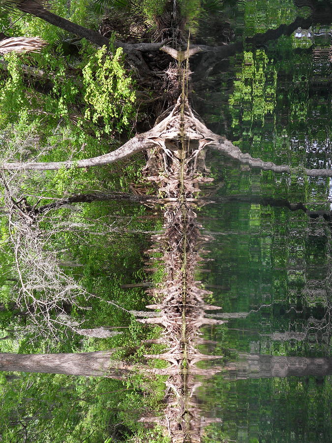 Reflection Designs Photograph by John OBrien - Fine Art America