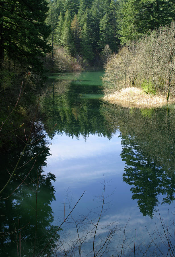 Reflection Pond Photograph by Steven King | Fine Art America