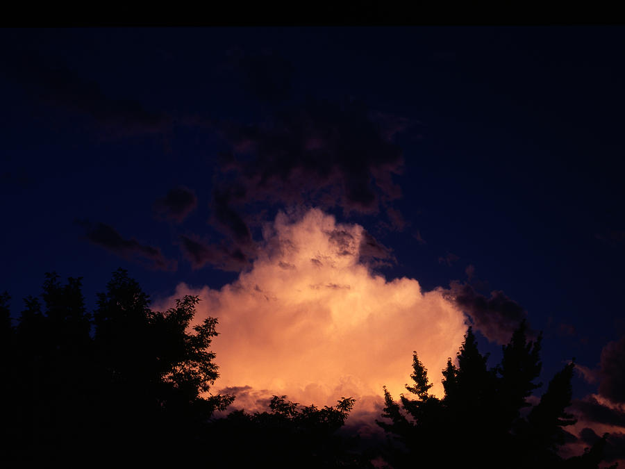 Reflective Photograph by Michael Cronen - Fine Art America