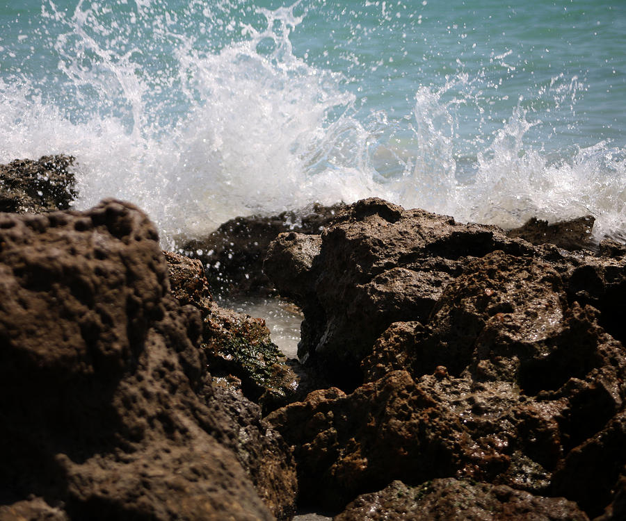 Refreshing Splash Photograph by Monica Lahr - Fine Art America