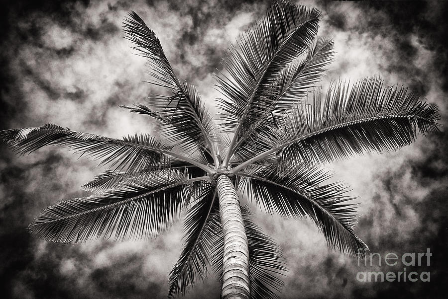 Relief From The Summer Sun Photograph by Richard Keith - Fine Art America